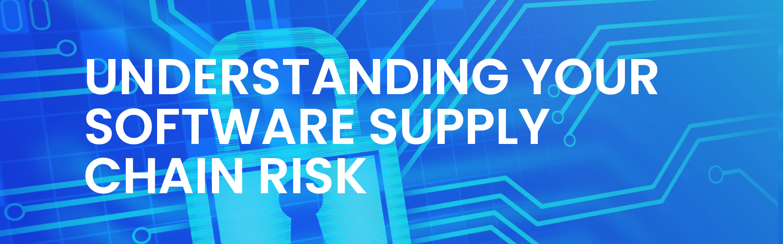 Understanding your Software Supply Chain Risk • Anchore